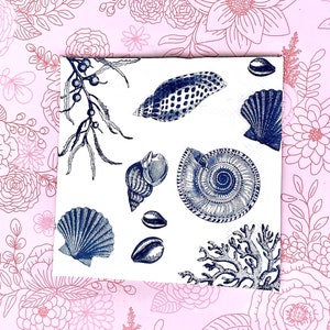 Seashell Decoupage Napkin, Beach Decoupage Paper Napkin, Seashell Decor ...