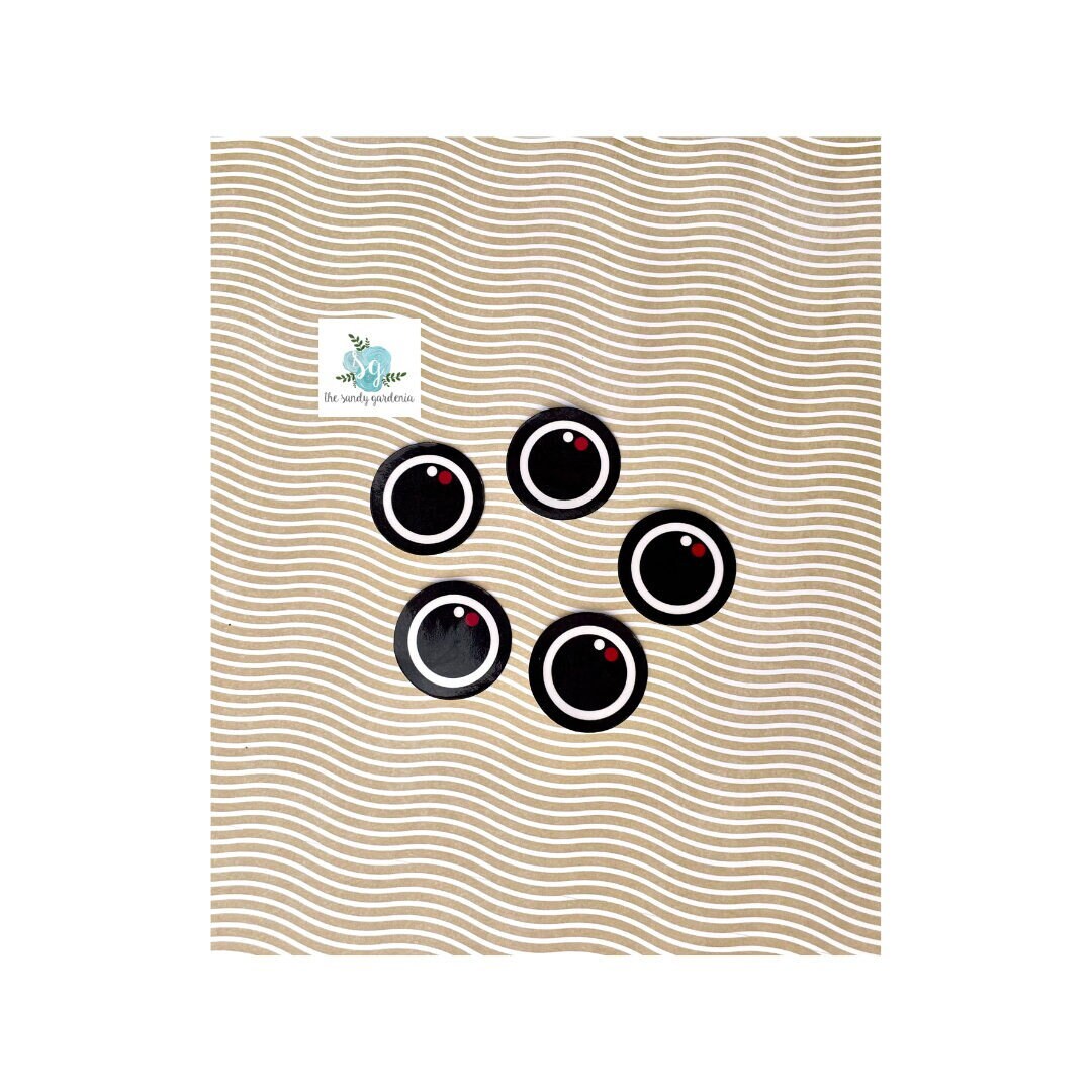 Fake Camera Sticker, Dash Cam Sticker, Mirror Decal Sticker, for Home ...