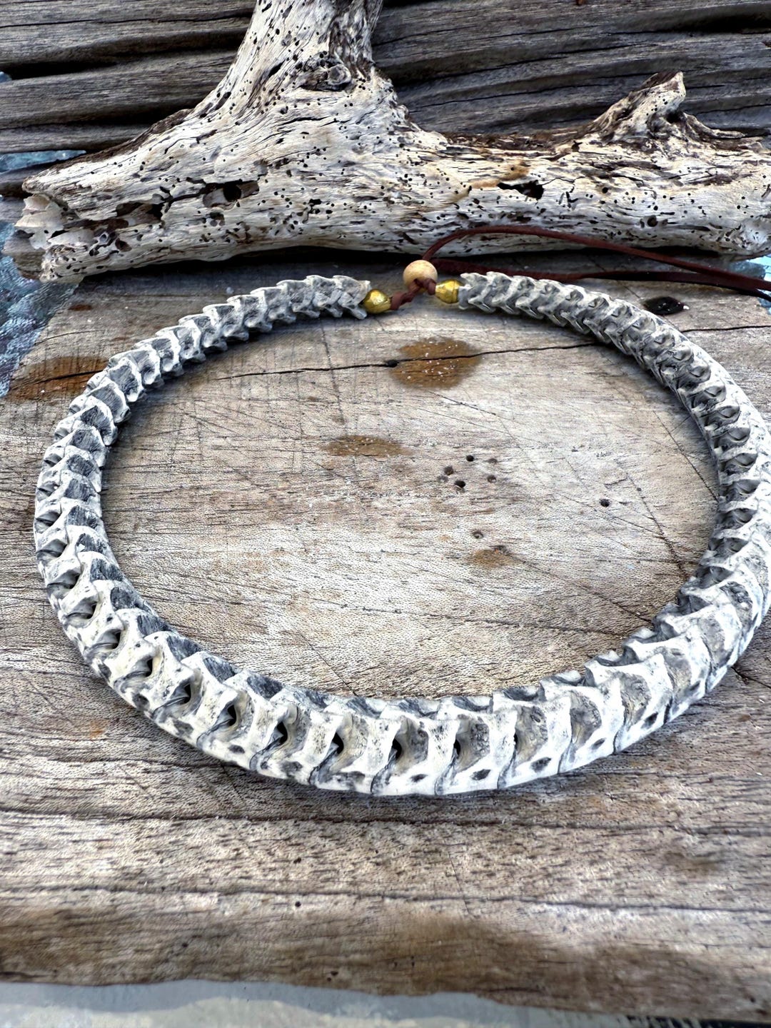 Snake Bone Choker, Snake Vertebrae Necklace, Bone Necklace, Shamanic ...