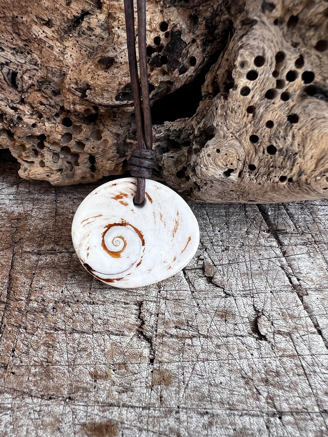 Cat Eye Shell Necklace, Shiva Eye, Operculum - Etsy