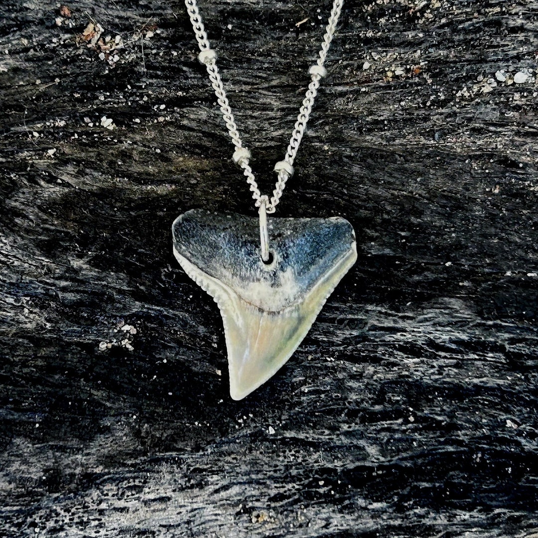 Woman's Shark Tooth Necklace, Dainty Shark Tooth Necklace - Etsy