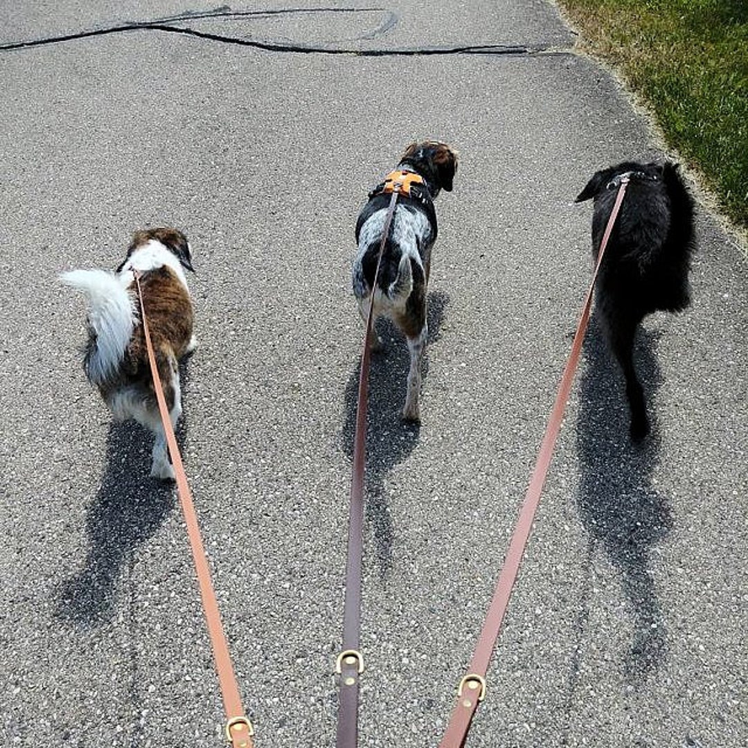 Thin Dog Leash 35 Colours Biothane Small Dog Leash 1/2 12mm Wide Light ...