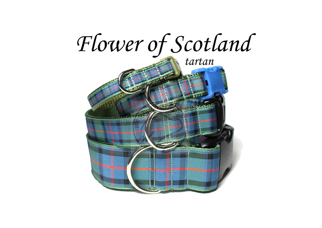 Flower of Scotland Tartan Dog Collars - All Sizes - 4 Widths - Sage ...