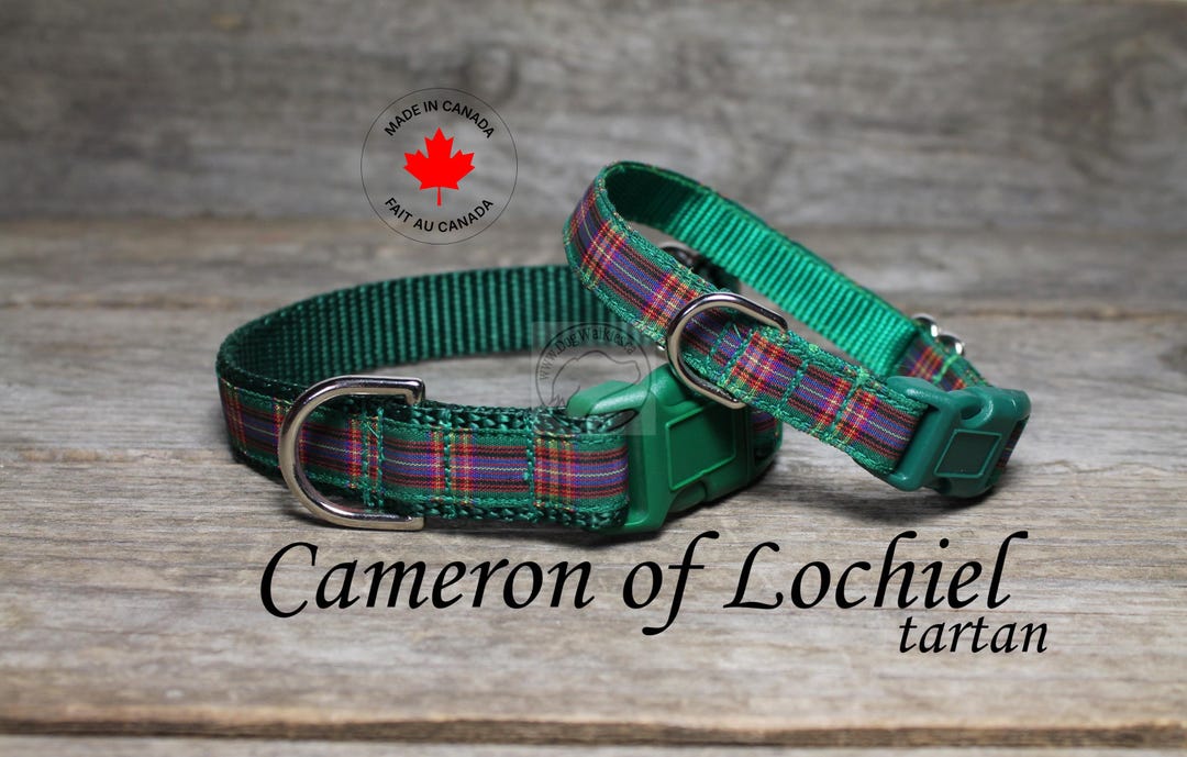 Handmade Cameron of Lochiel Tartan Dog Collar: Green Plaid, All Sizes ...