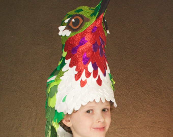 Custom Hummingbird Hat for Carole T. - Etsy