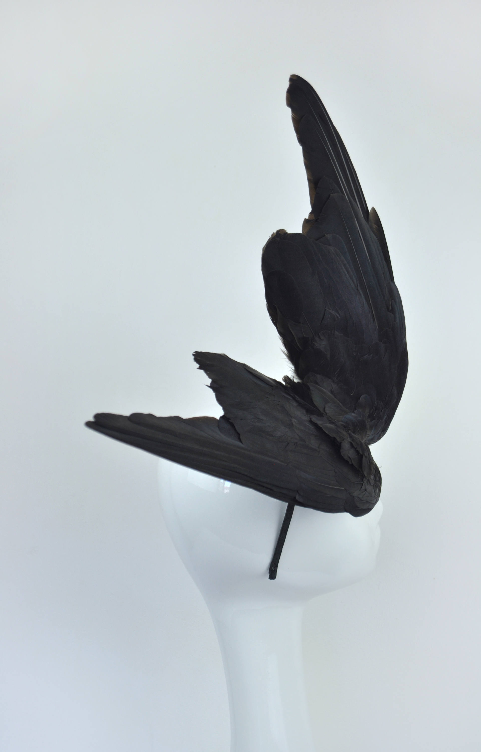 Black Diving Bird Wing Headpiece