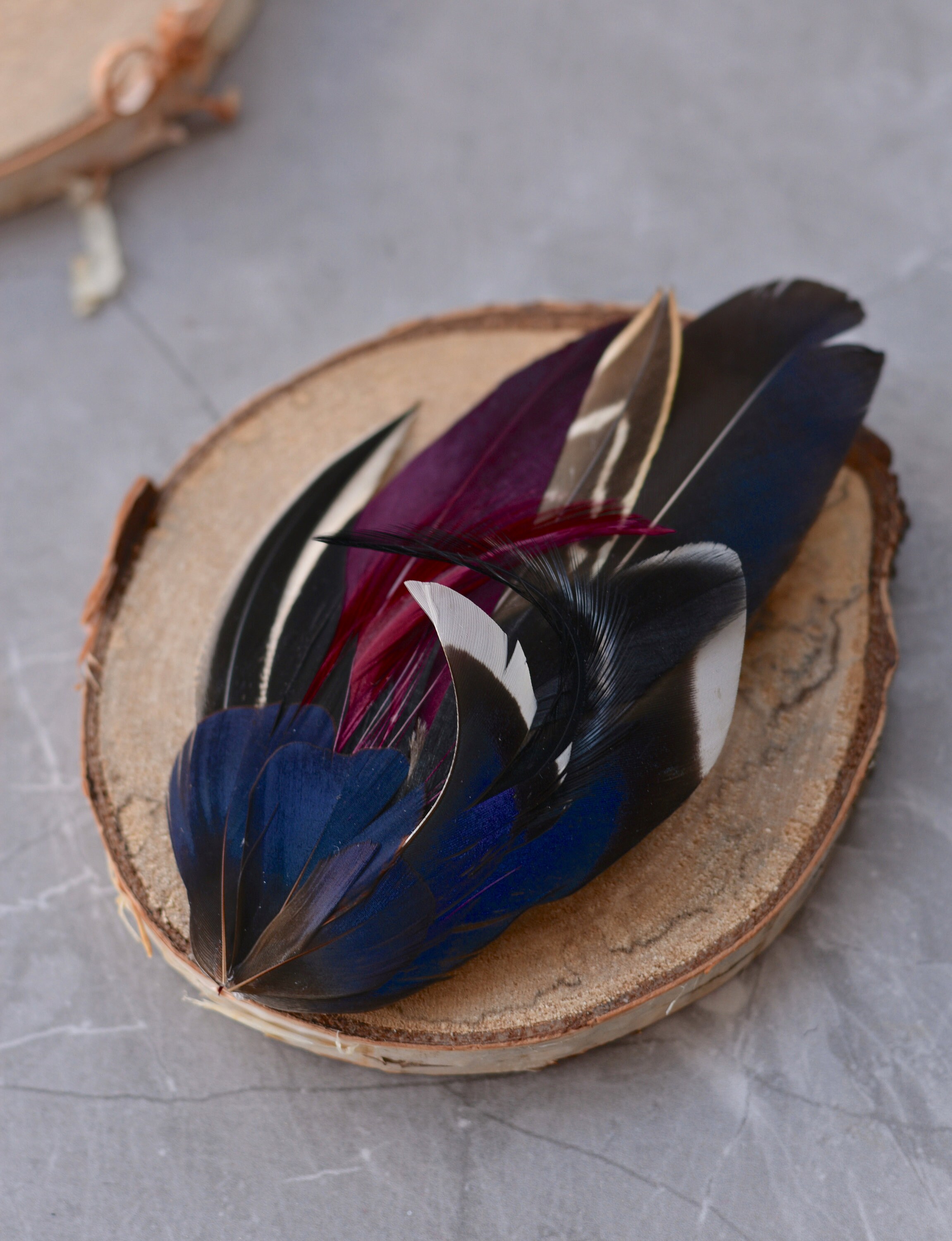 Blue and Burgundy Duck and Pheasant Feather Hat Pin / Lapel Pin No.204