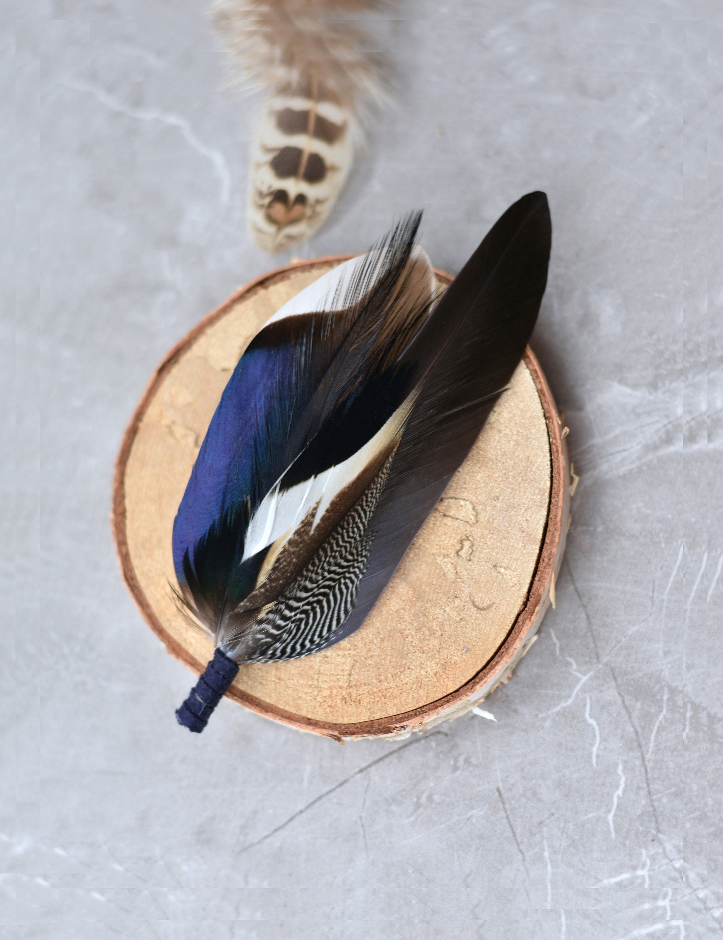 Mallard Duck Feather