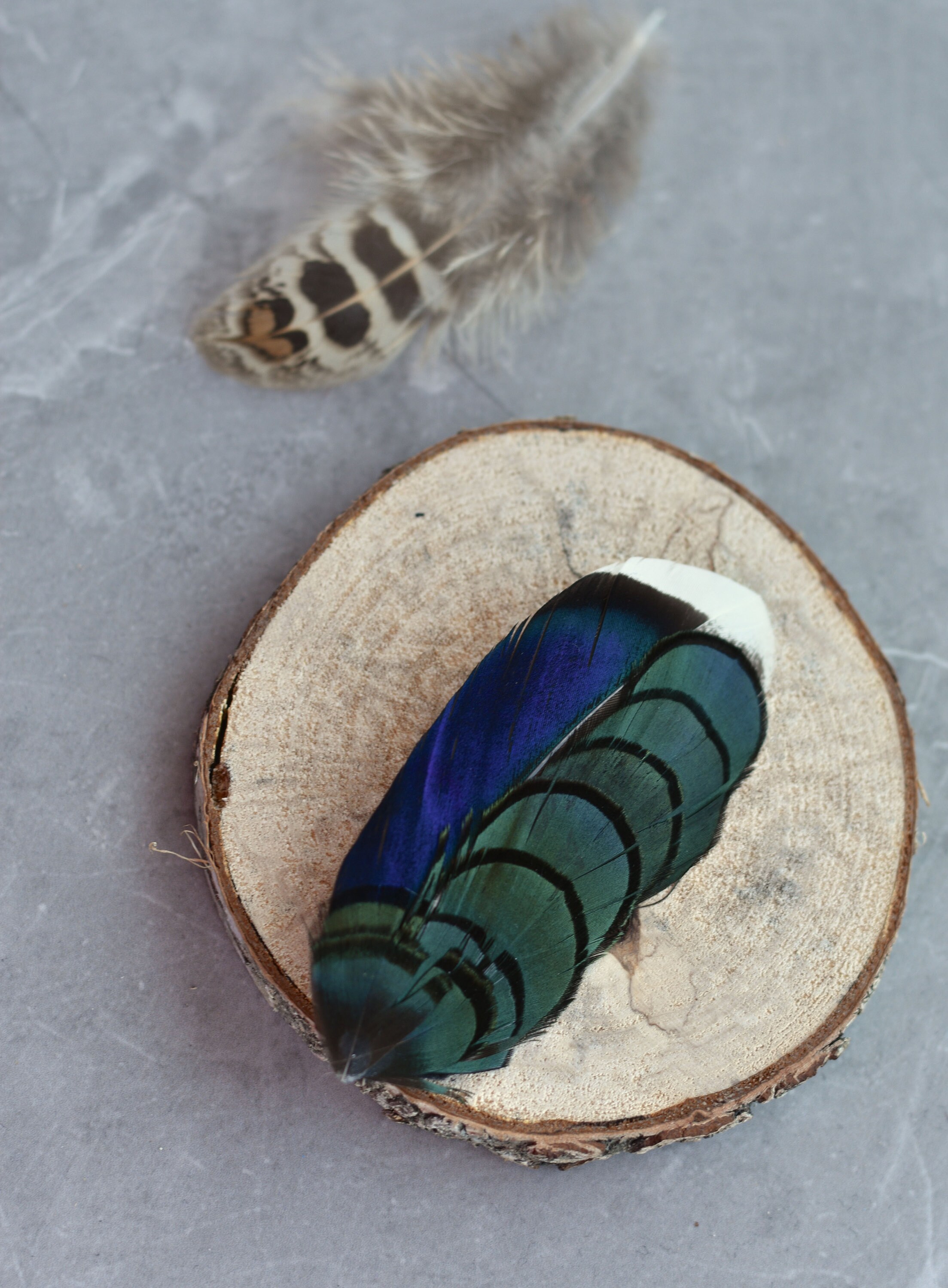 Duck Feather Lapel Pin in Navy and Green Feather Boutonniere - Etsy UK
