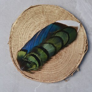 Duck Feather Lapel Pin in Navy and Green Feather Boutonniere Feather ...