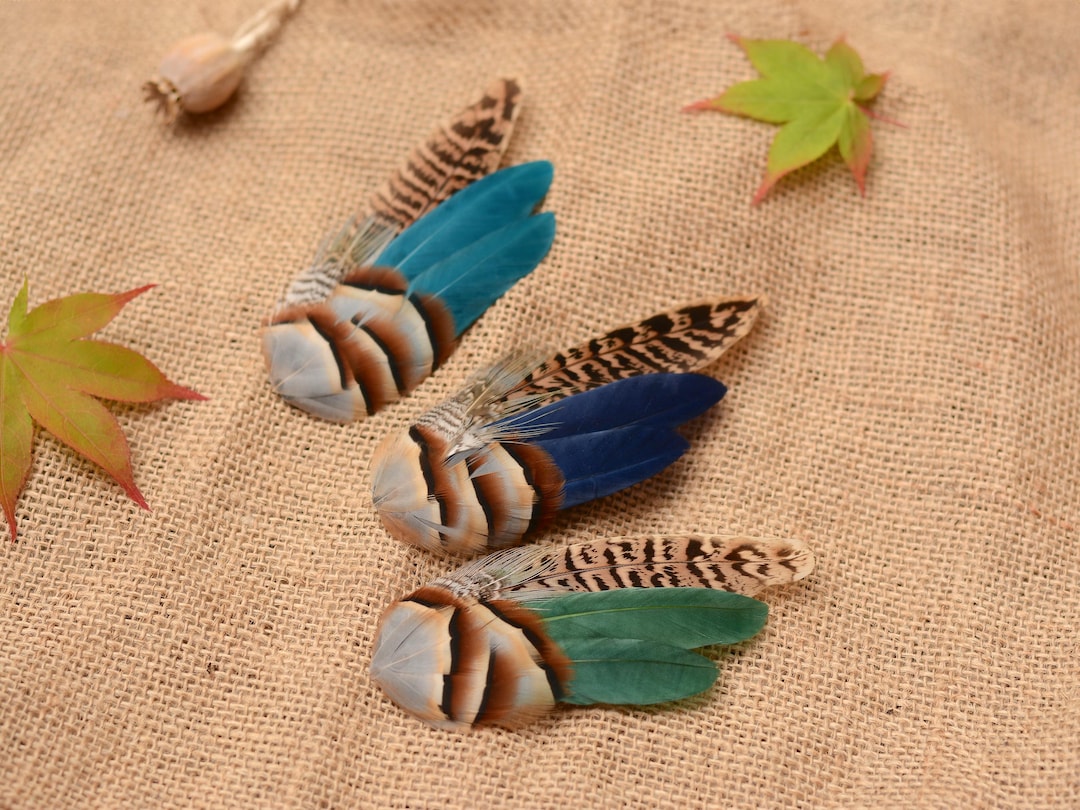 Pheasant Feather Hair Clip in Blue, Teal or Green | Pheasant Feather ...