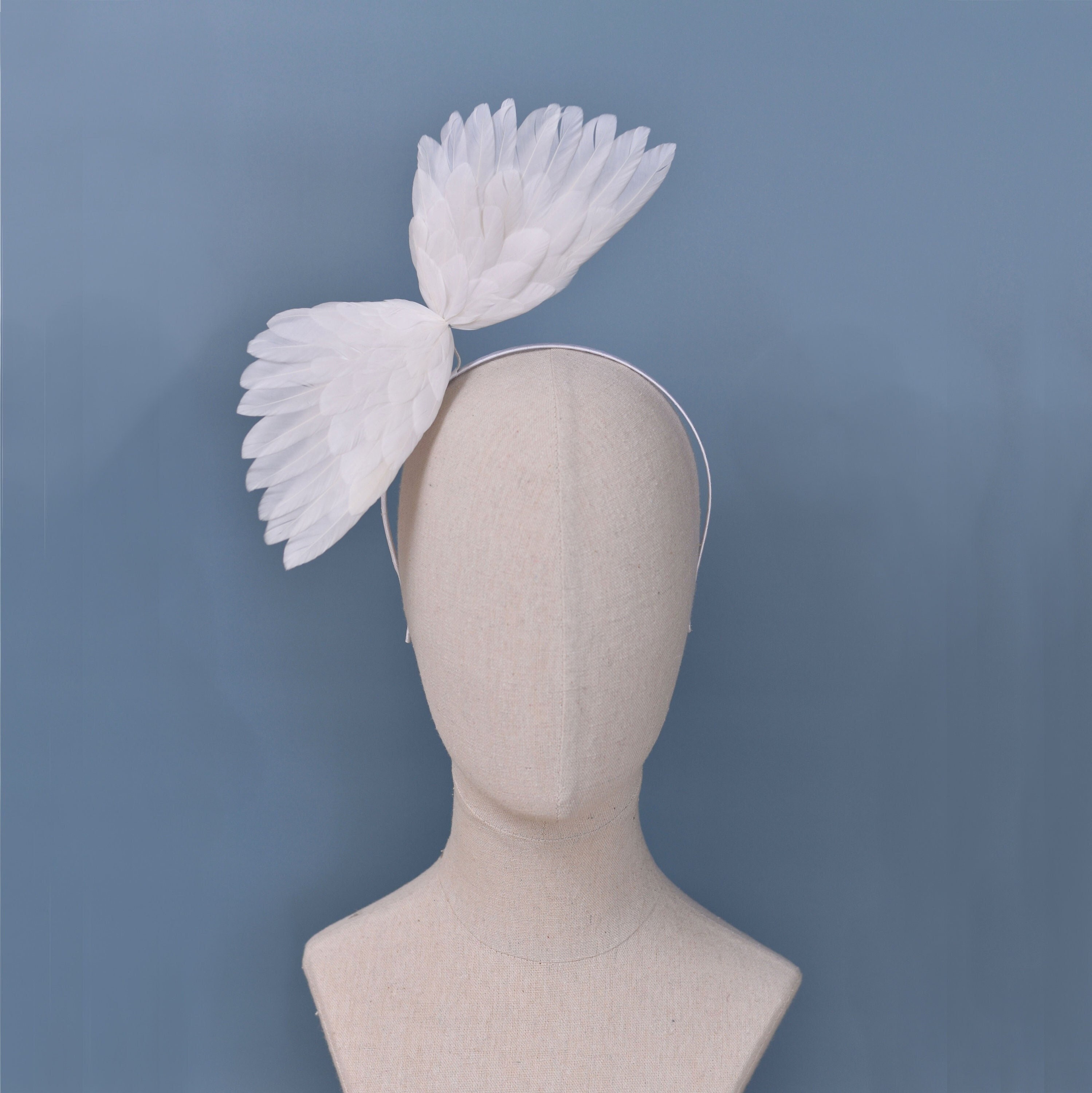 Bird Headpiece