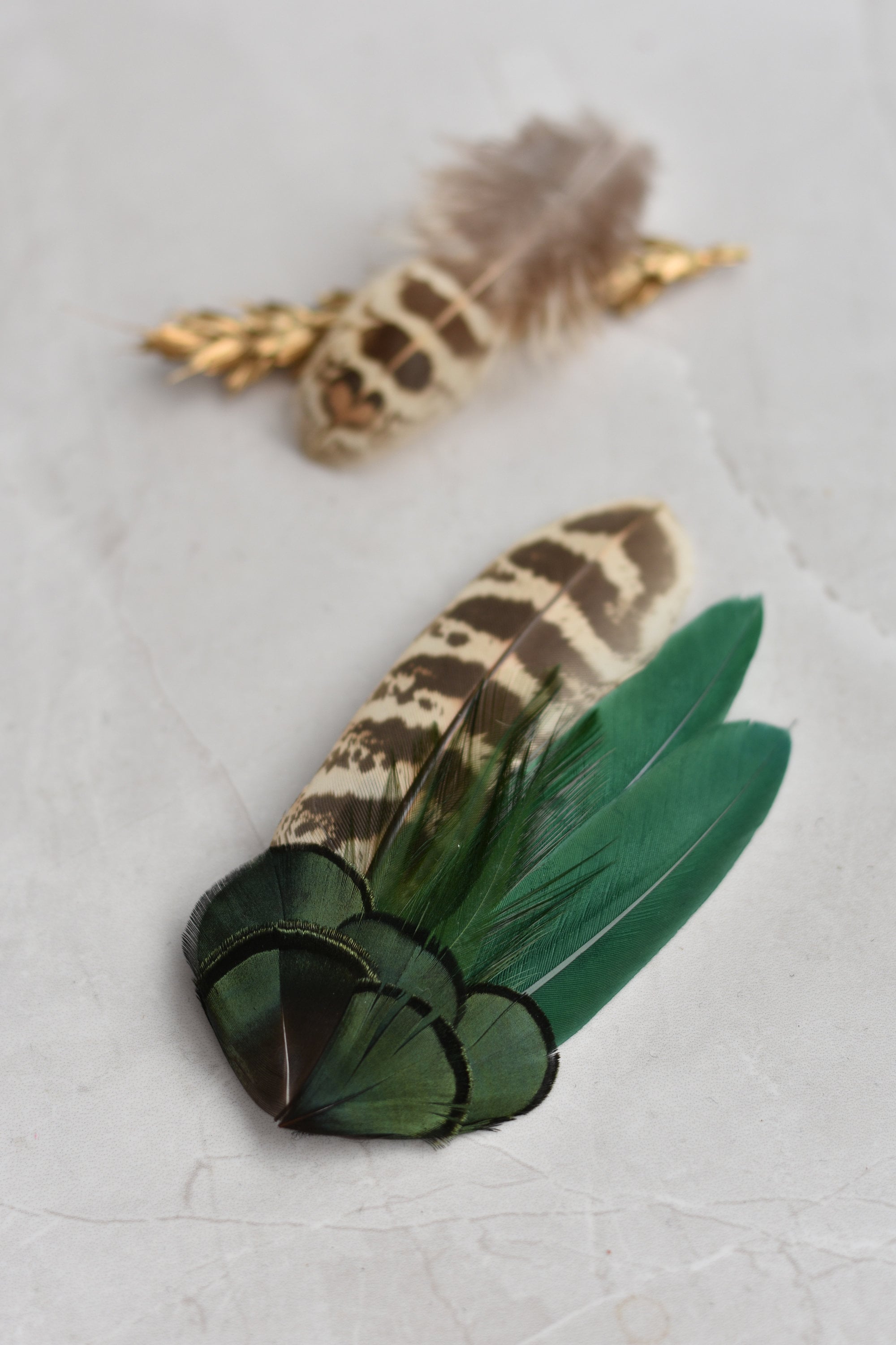 Bottle Green Feather Hair Clip Pheasant Feather Hair Clip - Etsy UK