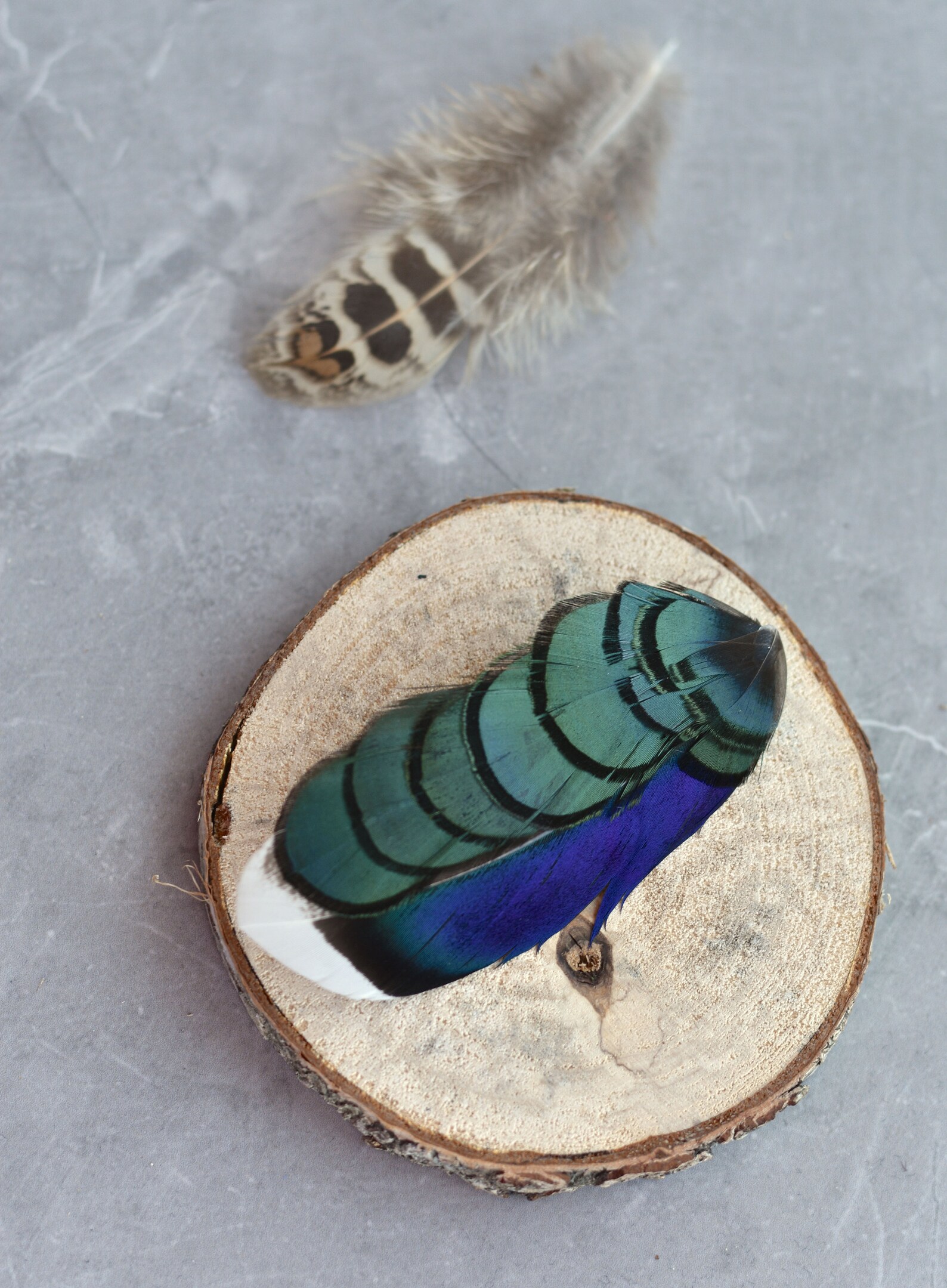 Duck Feather Lapel Pin in Navy and Green Feather Boutonniere - Etsy UK