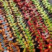 VINTAGE: 10pcs Carved Balsa Wooden Parrot Bird Beads From India - Basal ...