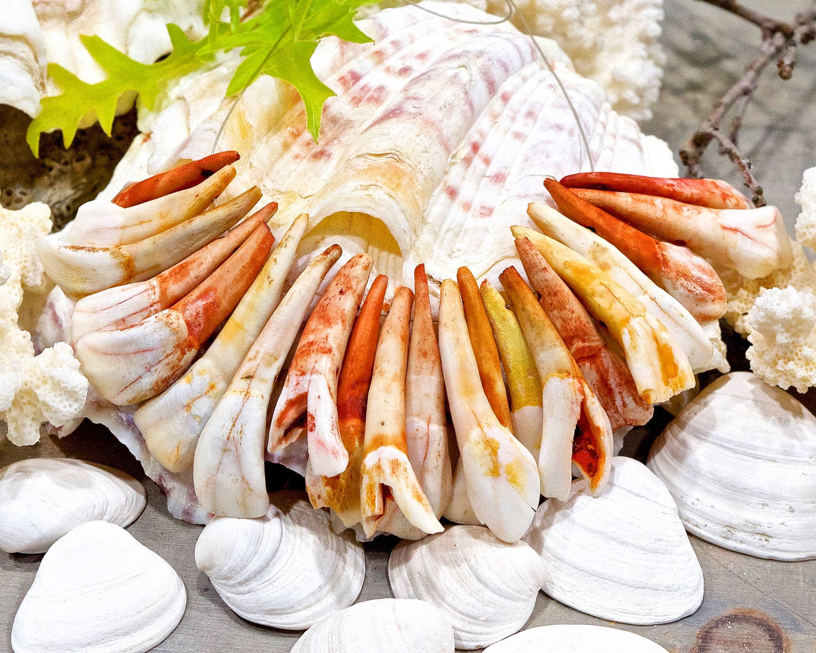 VINTAGE: 1970s Washed Out Orange Brown Distressed Buffalo - Etsy