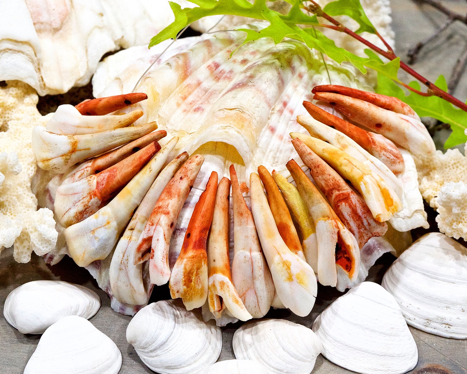 VINTAGE: 1970s Washed Out Orange Brown Distressed Buffalo - Etsy