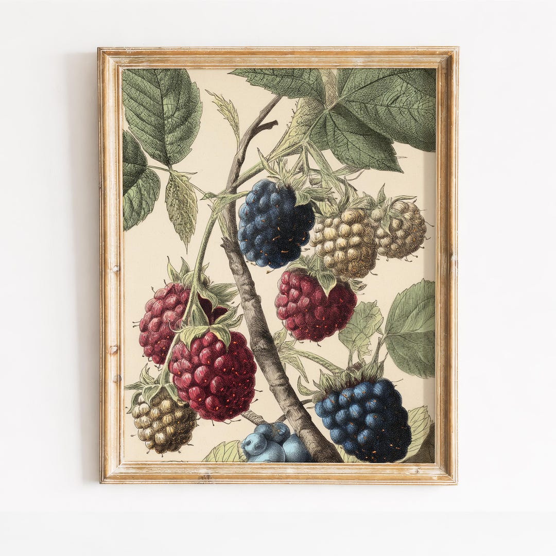 Vintage Berry Botanical Print – Scientific Illustration, Cottagecore ...