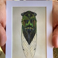 Cicada Block Print - Etsy