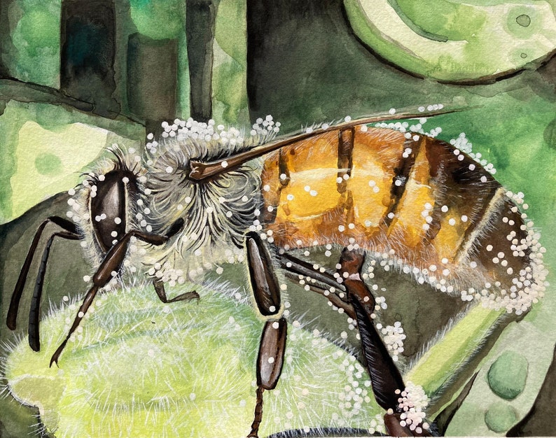 Hollyhock Pollen - Original Painting - Gouache - Naturalist Watercolor ...