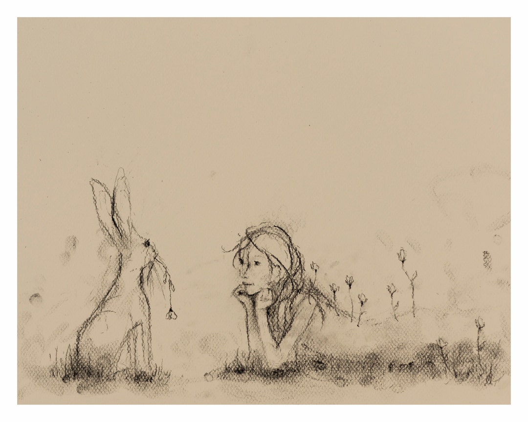 Jack Rabbit - PRINT of Original Drawing - 5 X 7 or 8 X 10 - Giclee ...