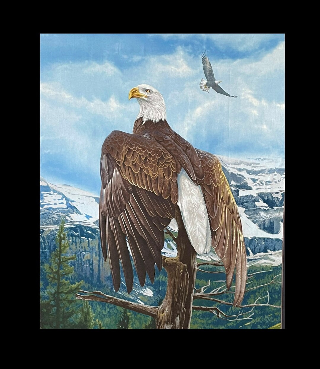 Bald Eagle, Wings of Pride Eagle Panel 36 X 44 by Elizabeth's Studio ...