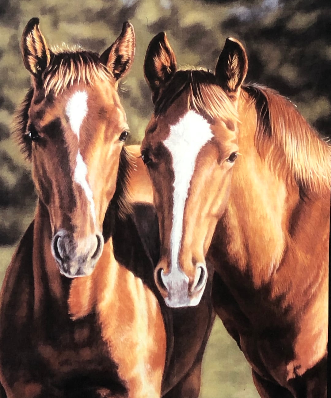 Horsin' Around Horse Fabric Panel Job Horse Cowboy - Etsy