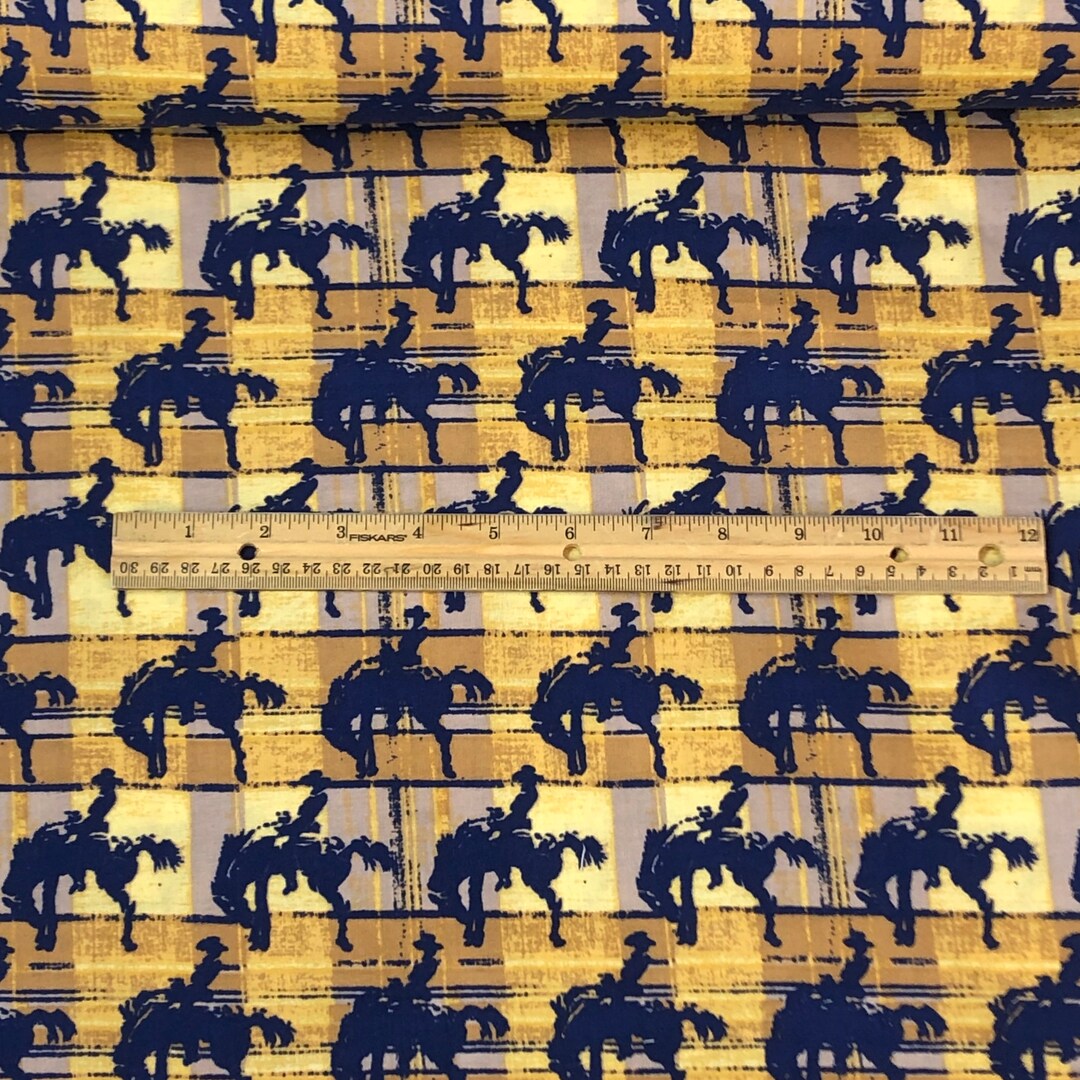 Bronco Rider, Rodeo Roper, Learning the Ropes, Western Rodeo Rider, Yee ...