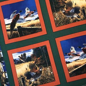 Pheasant Fabric Panel, Beautiful Pheasant, Bird, Wildlife Quilt Pillow ...