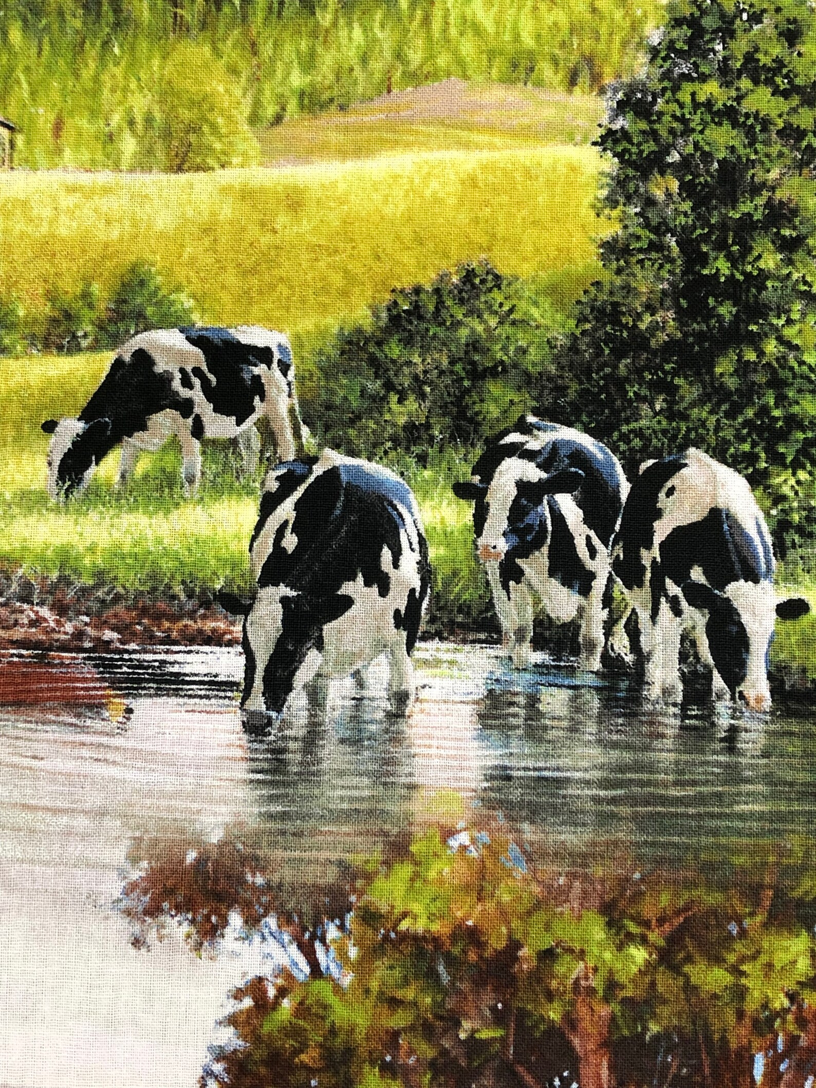 Cows at the River Grazing Cow Heard Barn Yard by David | Etsy