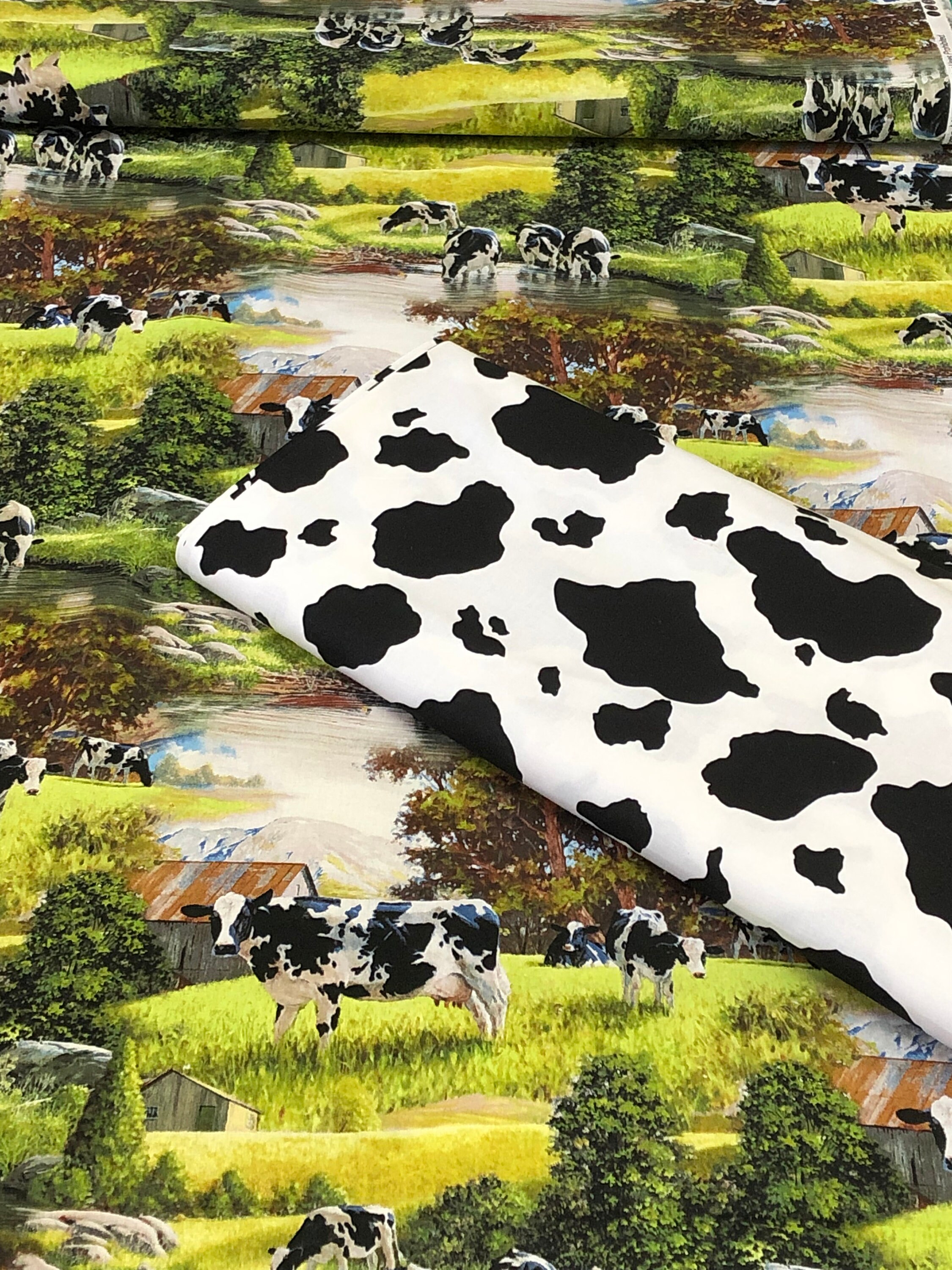 Cows at the river grazing cow heard barn yard by David | Etsy