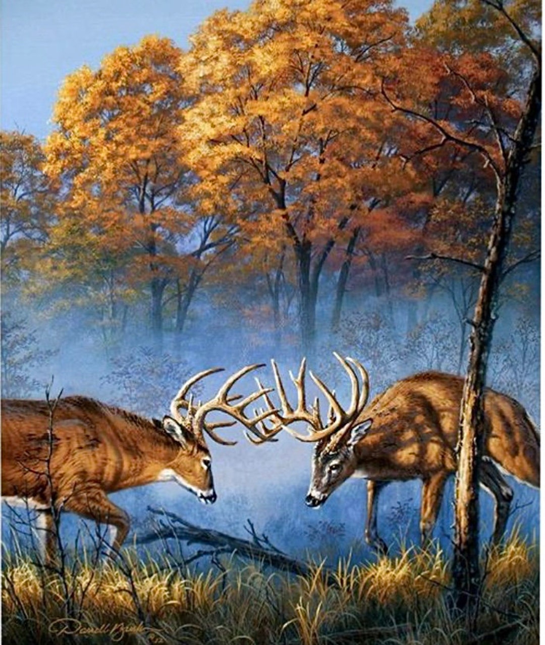 Natures Finest Deer Buck, Wildlife Wilderness Outdoor, Cotton Fabric ...
