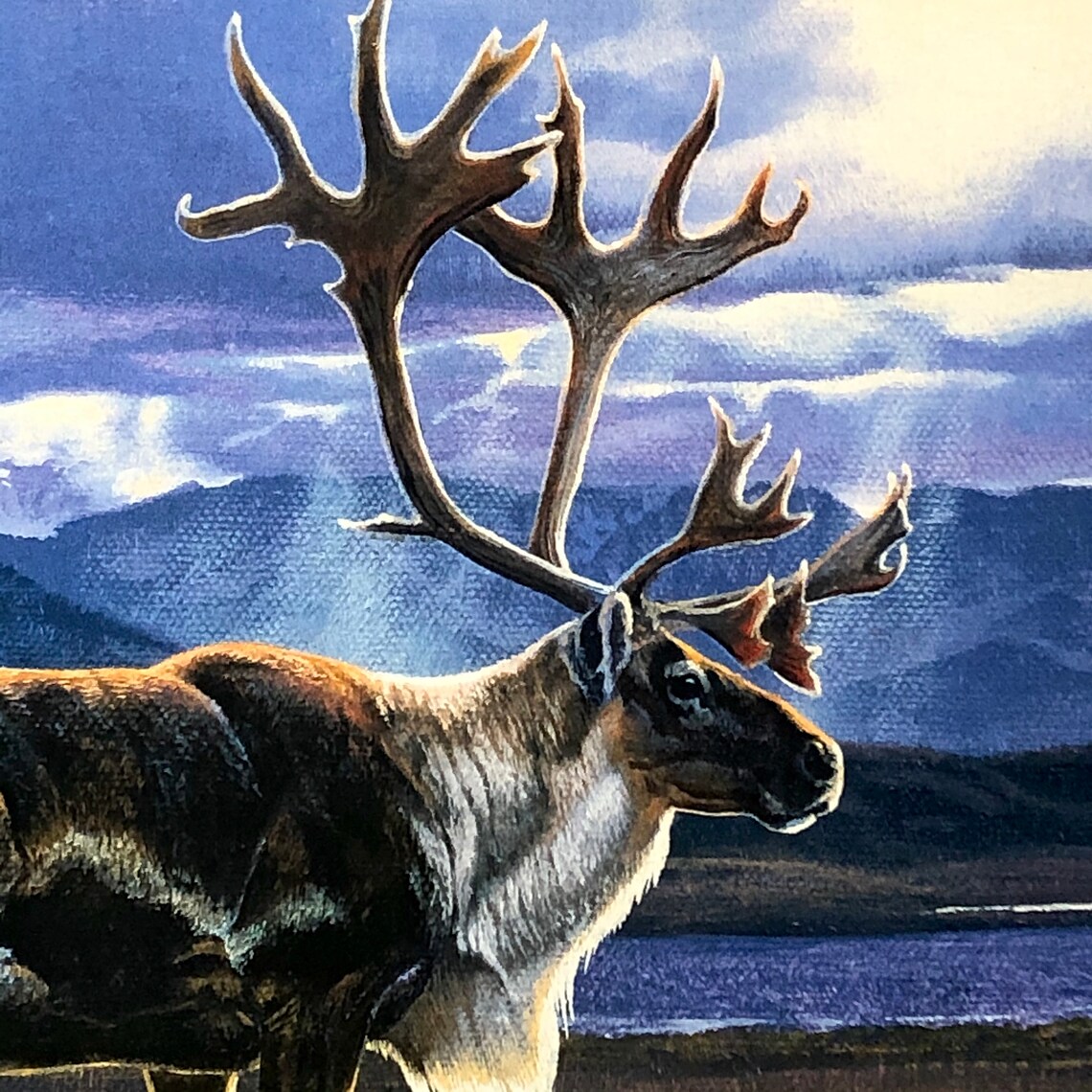 Natures Finest Caribou, Wildlife Wilderness Outdoor Cotton Fabric ...