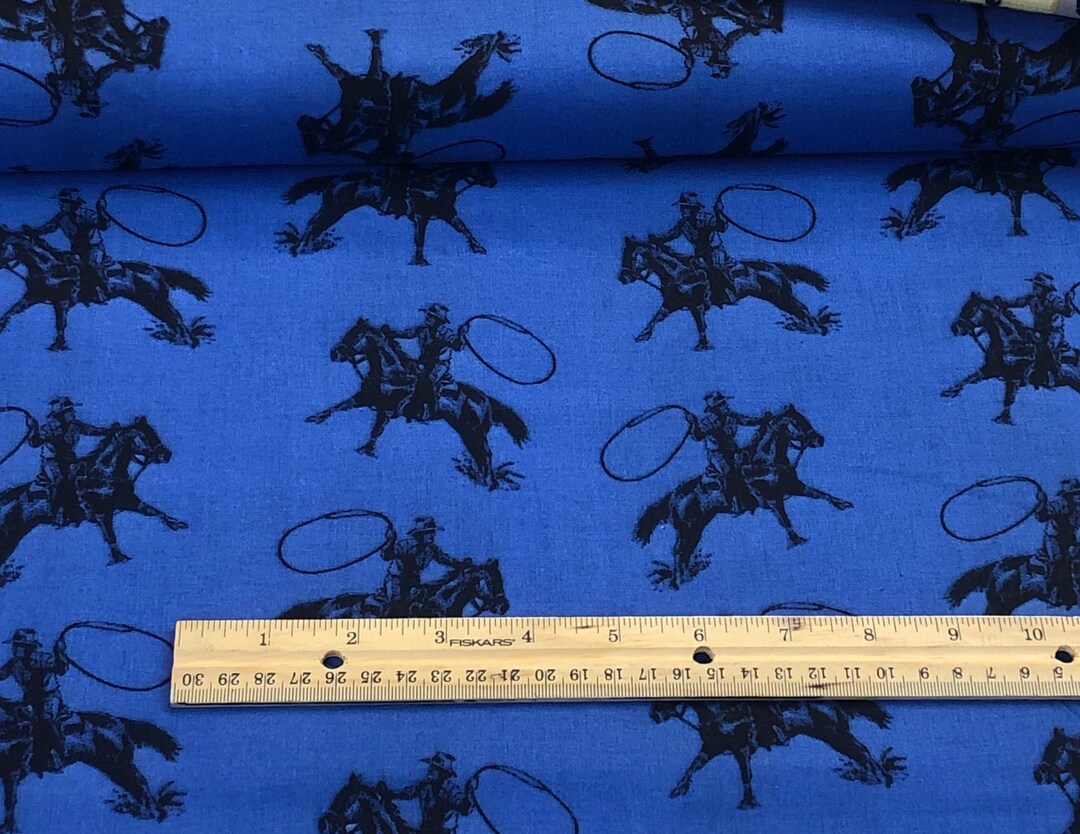 Bronco Rider, Rodeo Roper, Learning the Ropes, Western Rodeo Rider, Yee ...