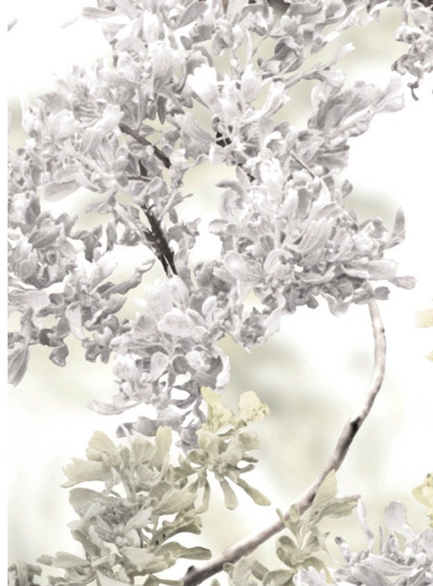 Snow King's Camo Tree Blossom Leaves, Snow Shadow, Branches, Fabric ...
