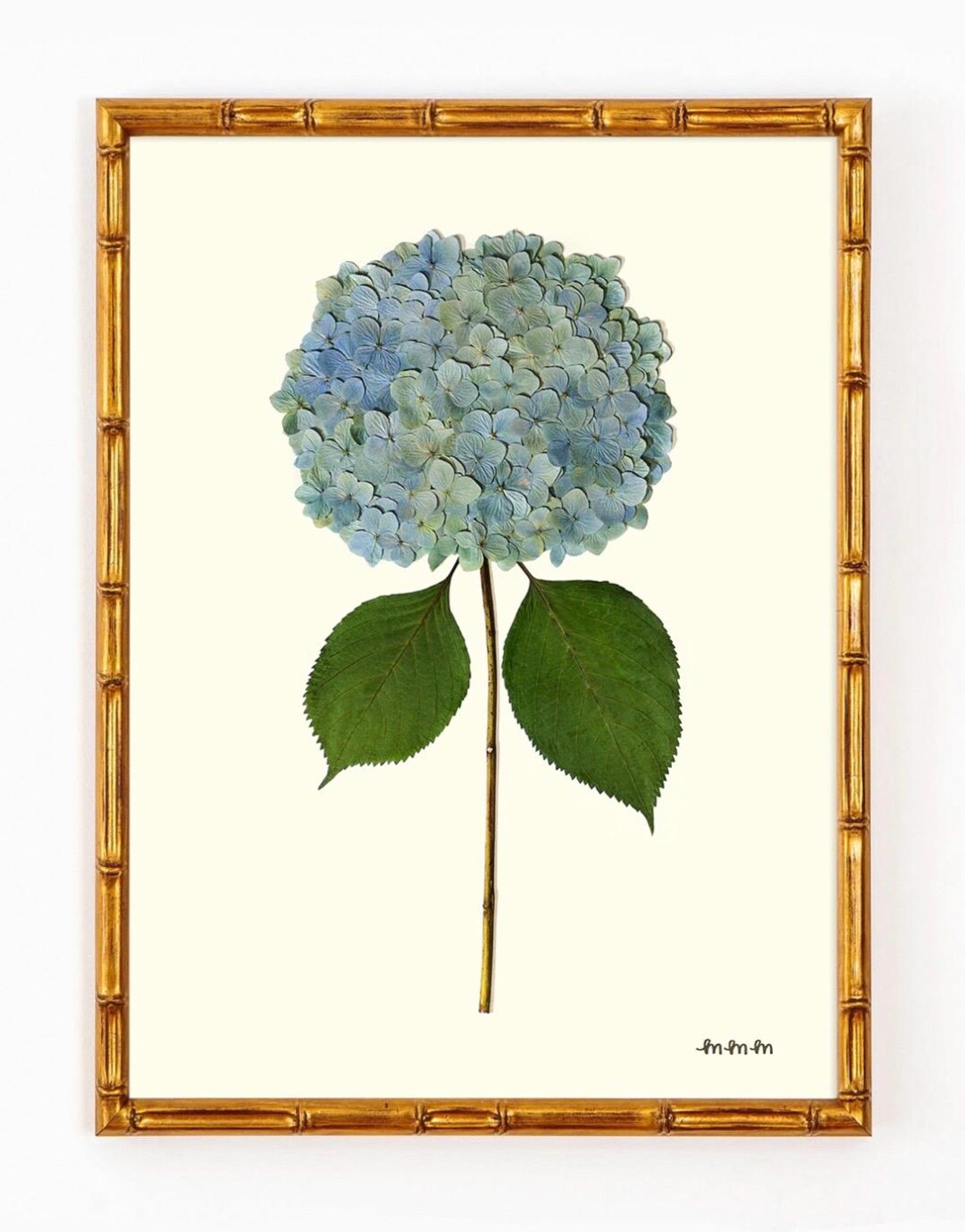 Aqua Blue Hydrangea Wall Art Print | Botanical Giclée Fine Art Print ...
