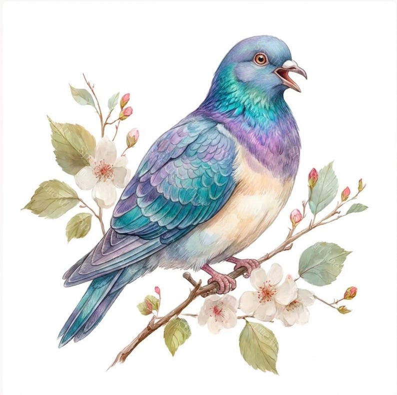 10 Spring Pigeon Clipart PNG | Vintage Dove Watercolor Bundle | Junk ...