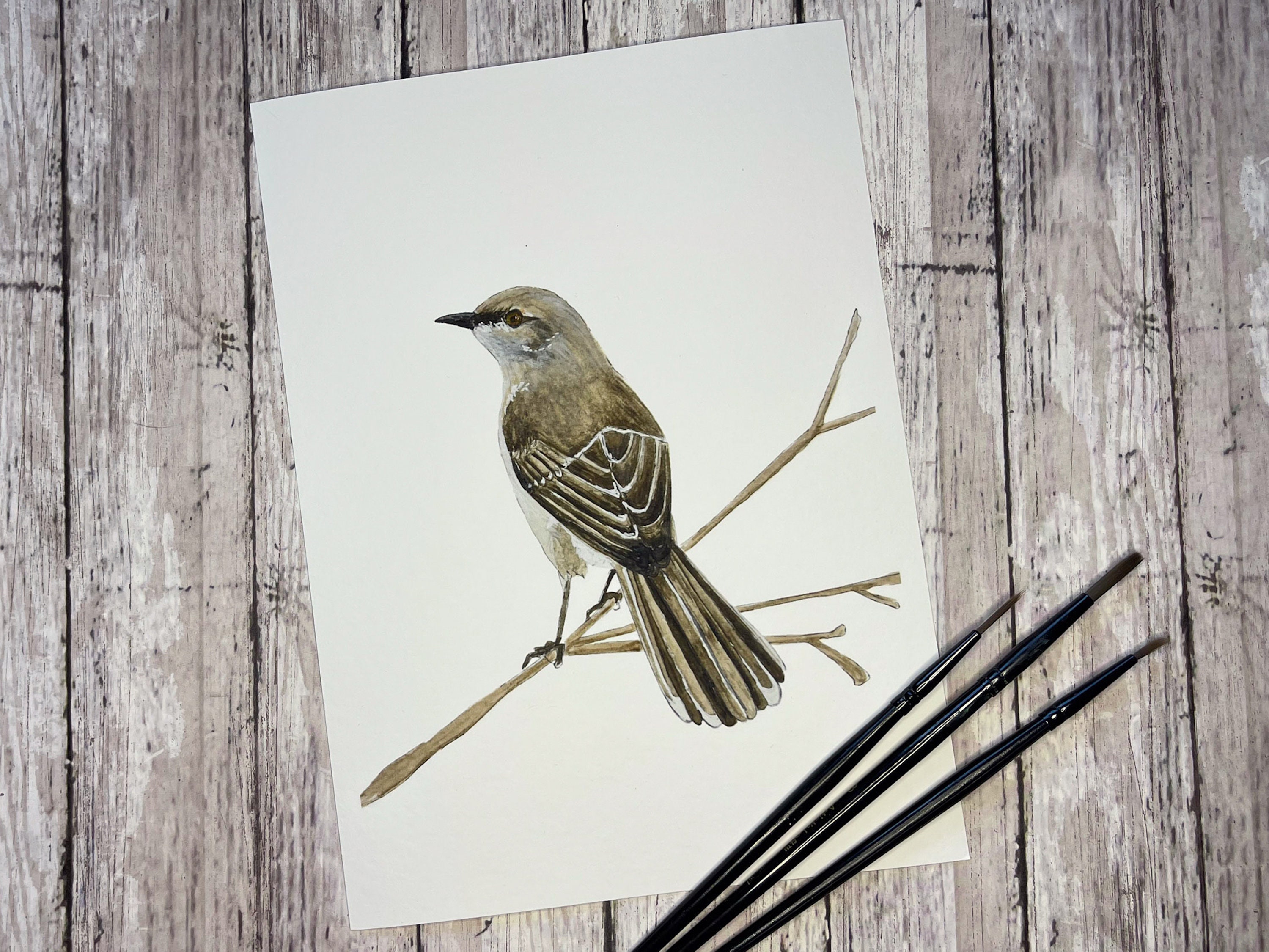 Northern Mockingbird Watercolor Print, Giclée Fine Art Print, Eastern ...