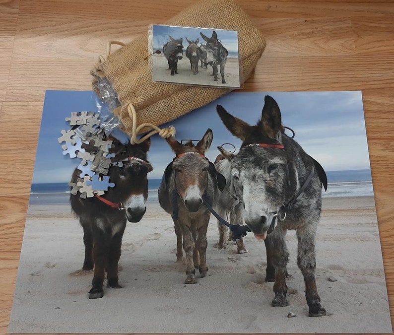 Seaside Donkeys 300 Piece 1612 Jigsaw Puzzle | Etsy