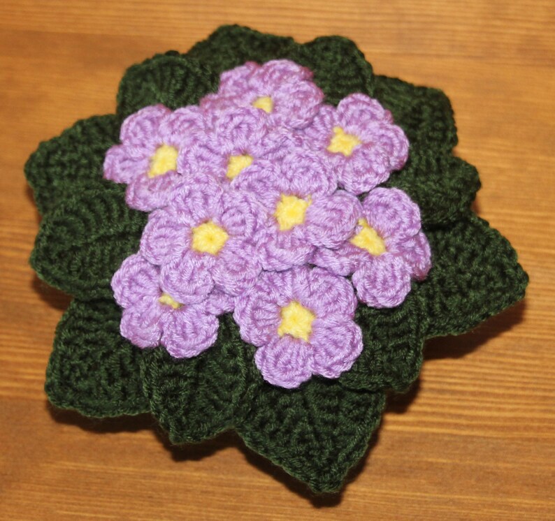 African Violet Crochet Pattern in PDF - Etsy