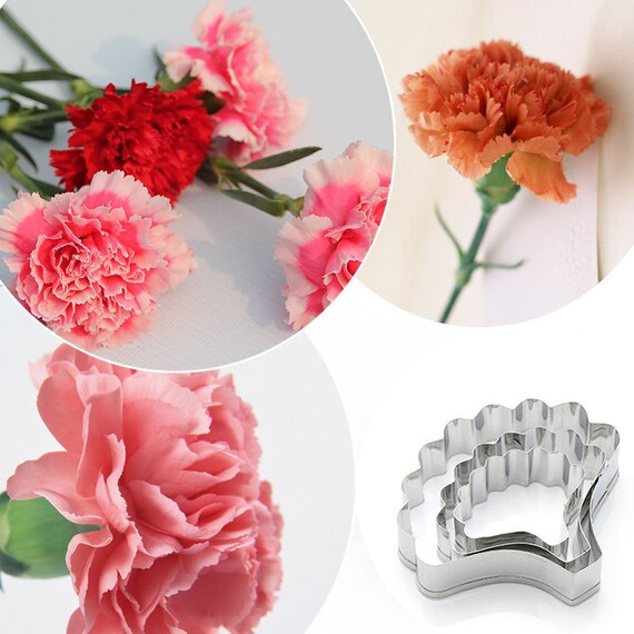 3 Size of Carnation Petal Cutter Set Flower Cutters Cake - Etsy