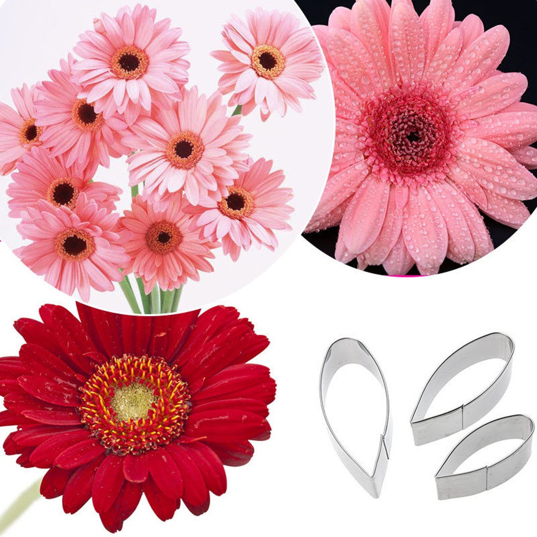 3 Size of Gerbera Daisy Petal Cutter Set Flower Cutters Cake Decorating ...