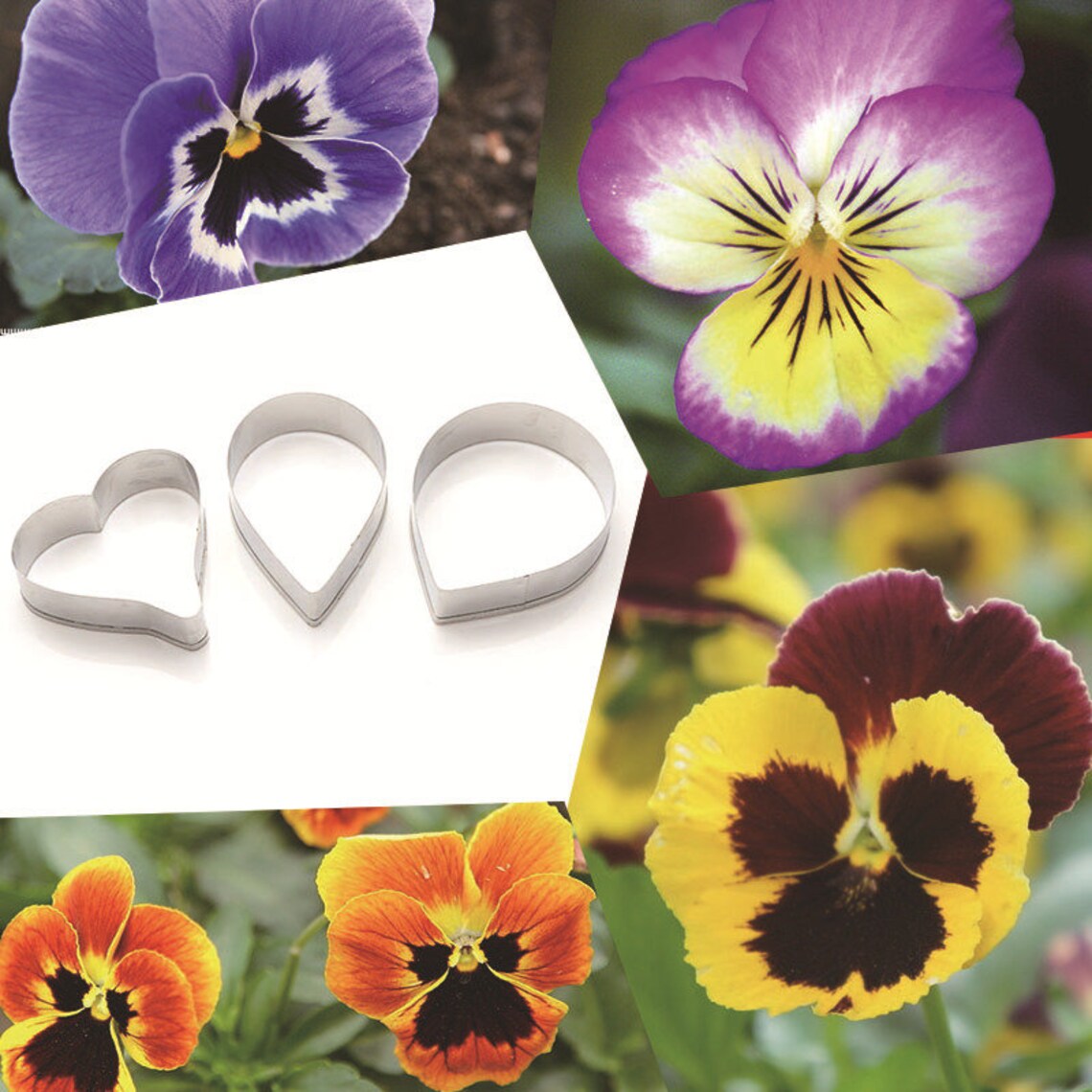 3 Size of Pansy Petal Cutter Set Flower Cutters Cake - Etsy