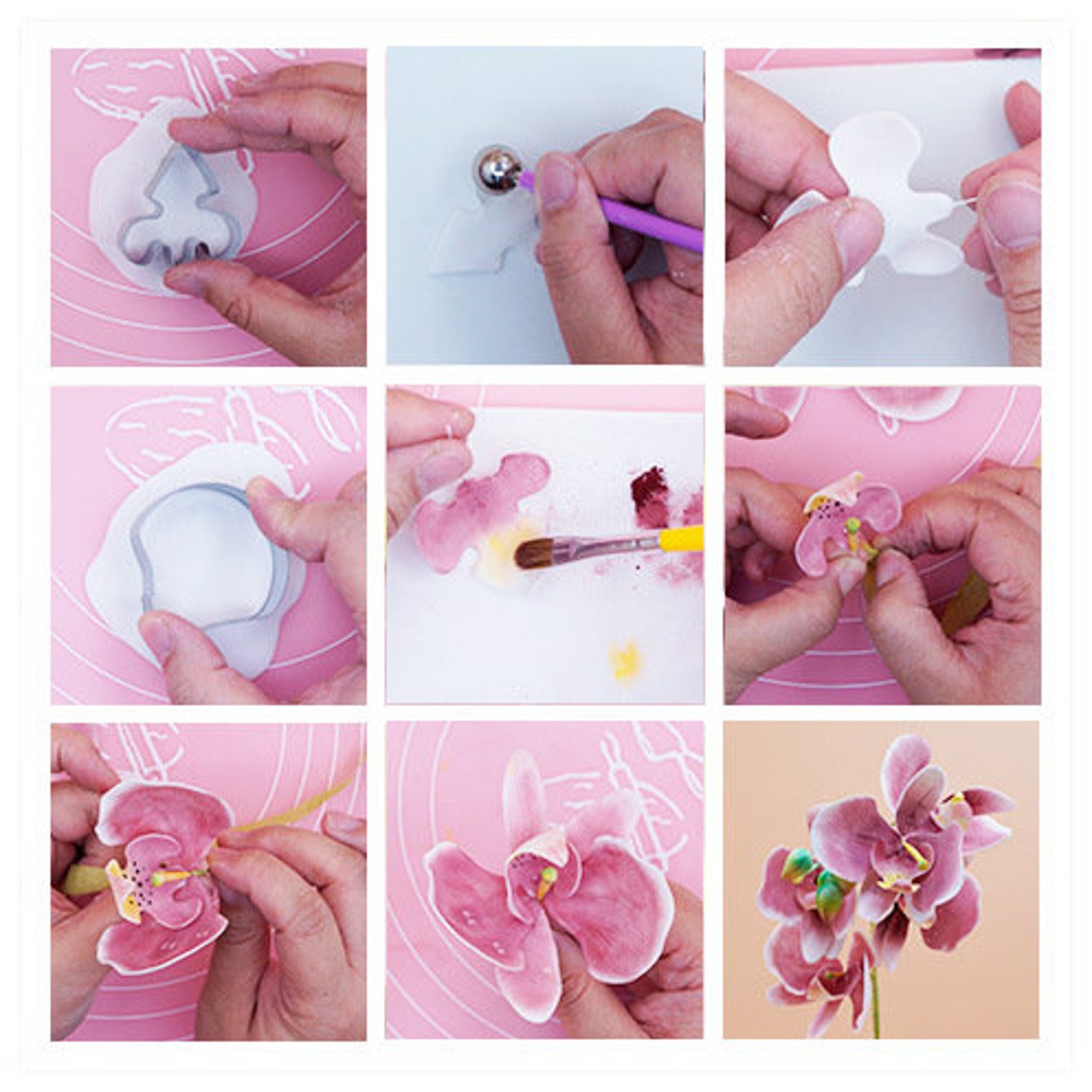 3 Size of Butterfly Orchid Petal Cutter Set Flower Cutters - Etsy