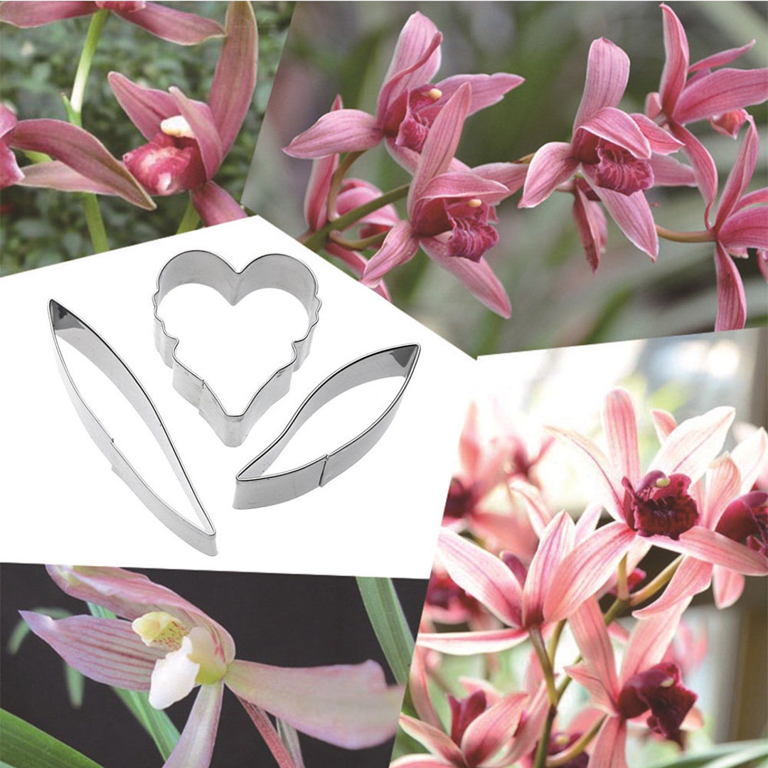 3 Size of Orchid Petal Cutter Set Flower Cutters Cake Decorating ...