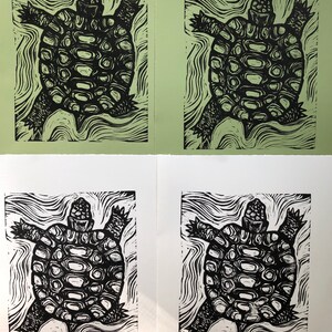 Box Turtle Linocut - Etsy