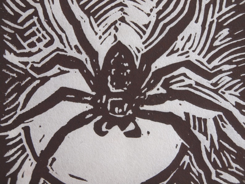Huntsman Spider With Egg Sac Linocut Print - Etsy