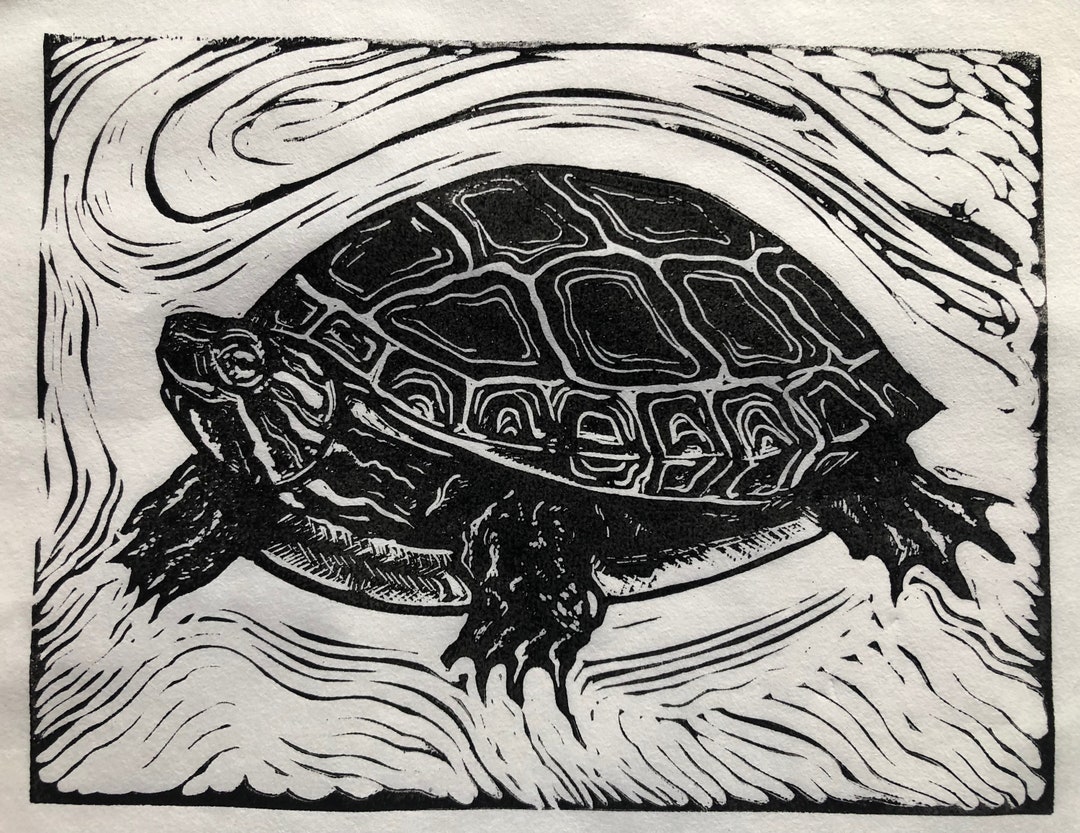 Box Turtle Linocut - Etsy