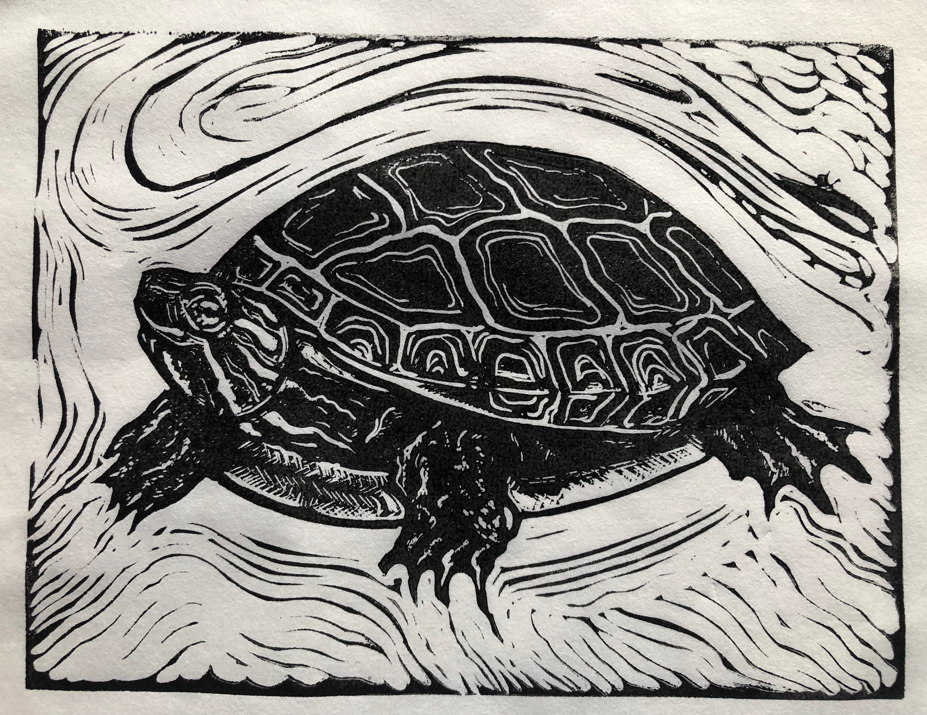 Box Turtle Linocut - Etsy