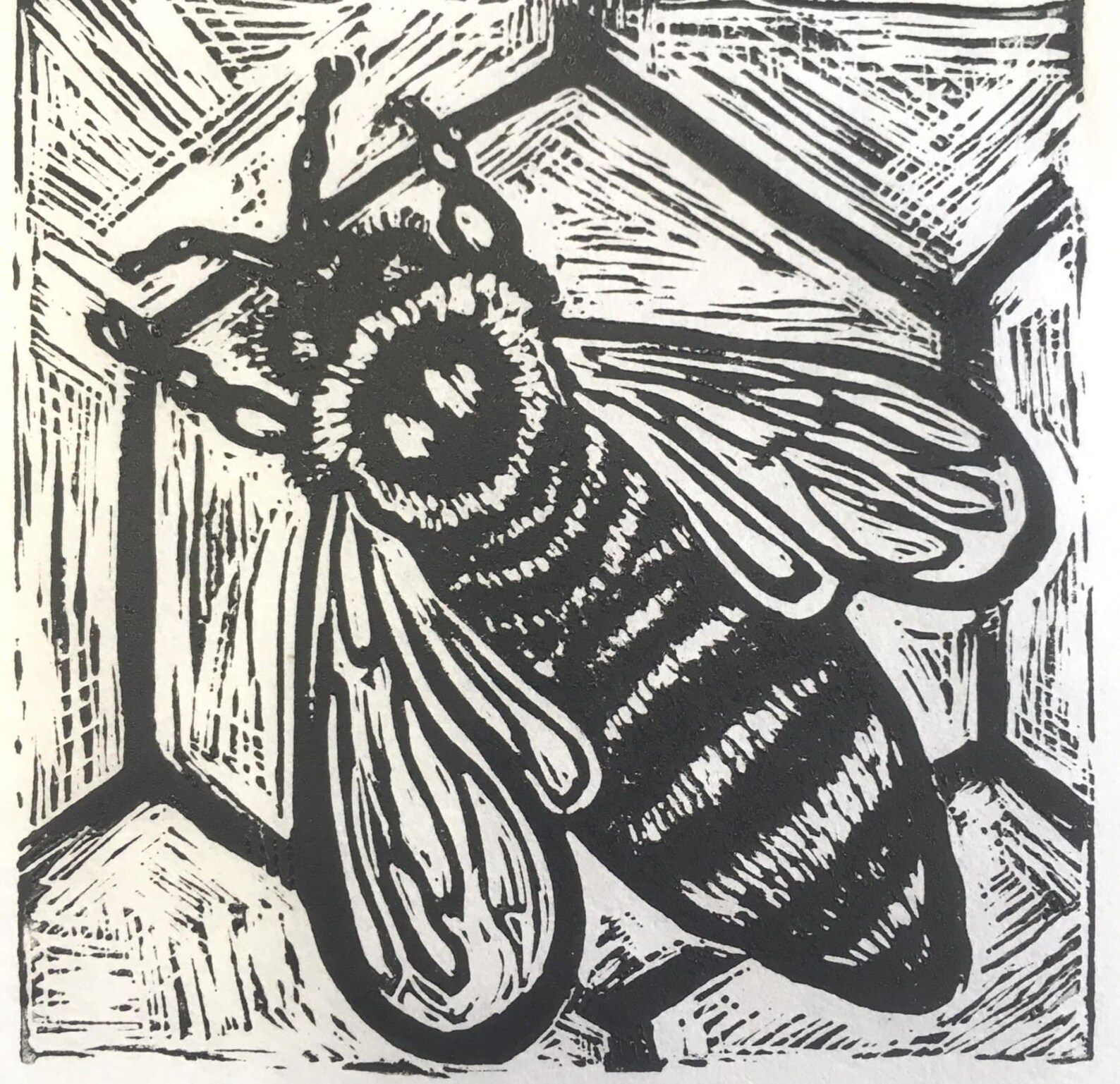 Honey Bee Linocut - Etsy